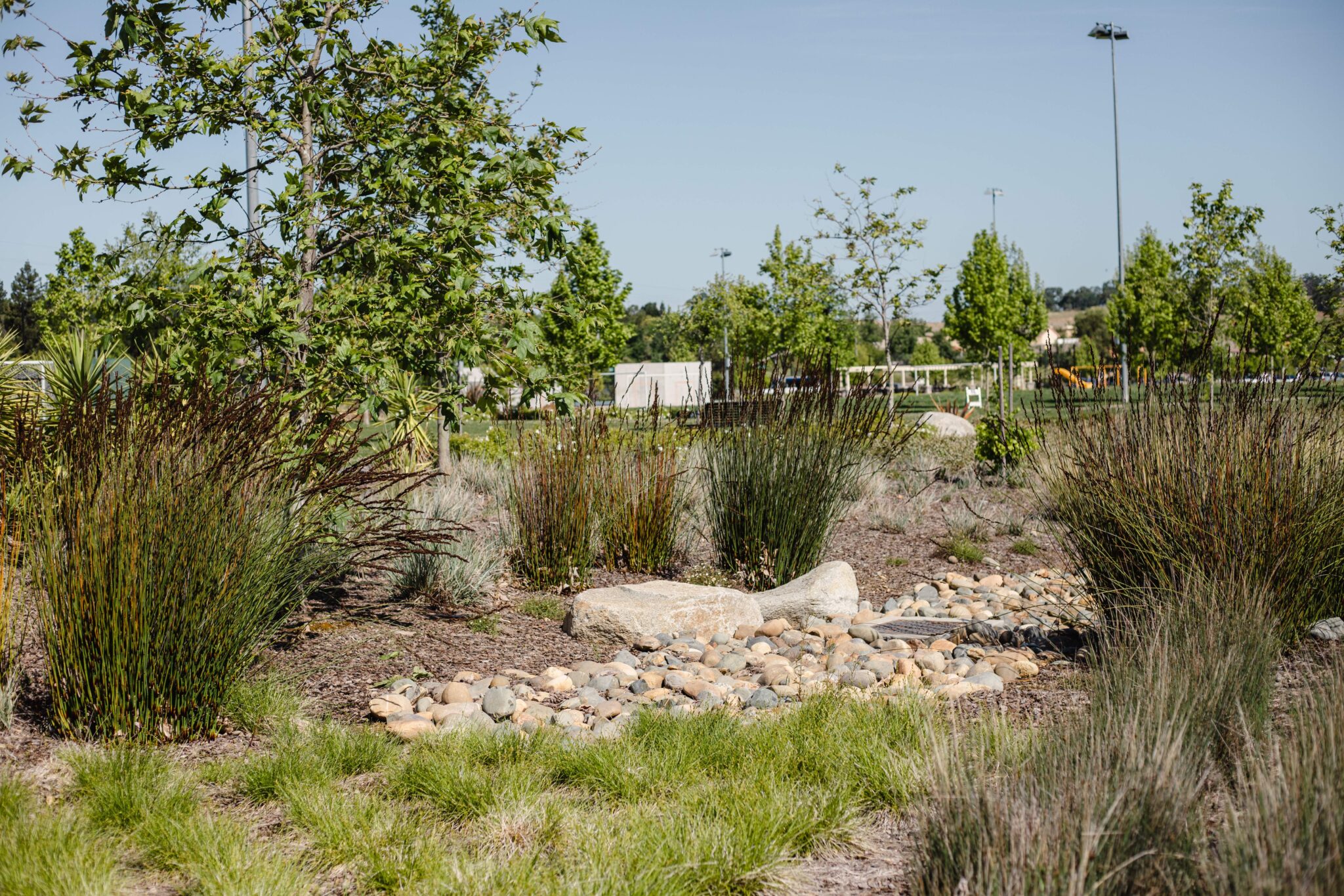 Parks & Open Space Portfolio - Siegfried Engineering
